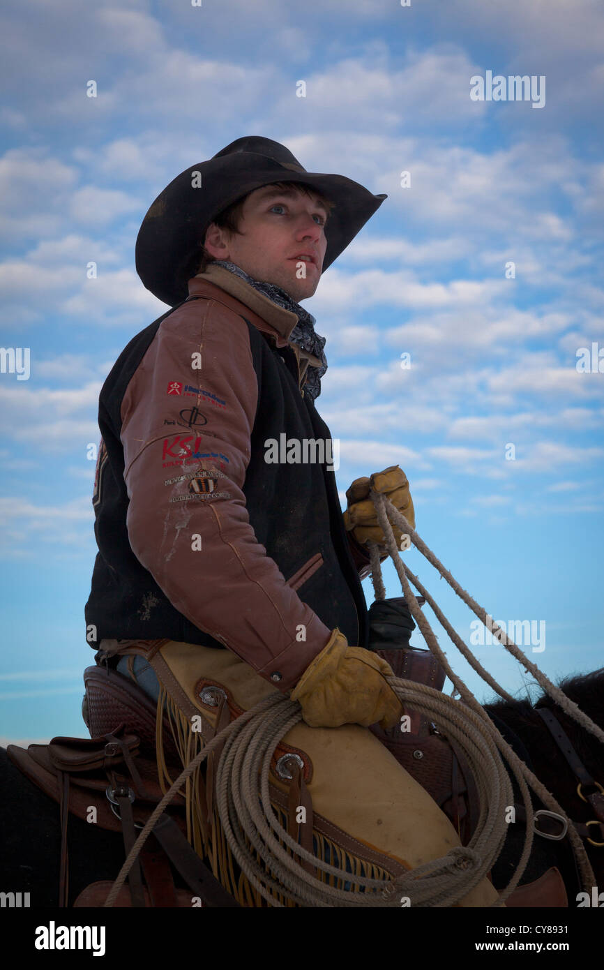 Cowboy gazing at a heard of horses from his horseback. Captured on ...