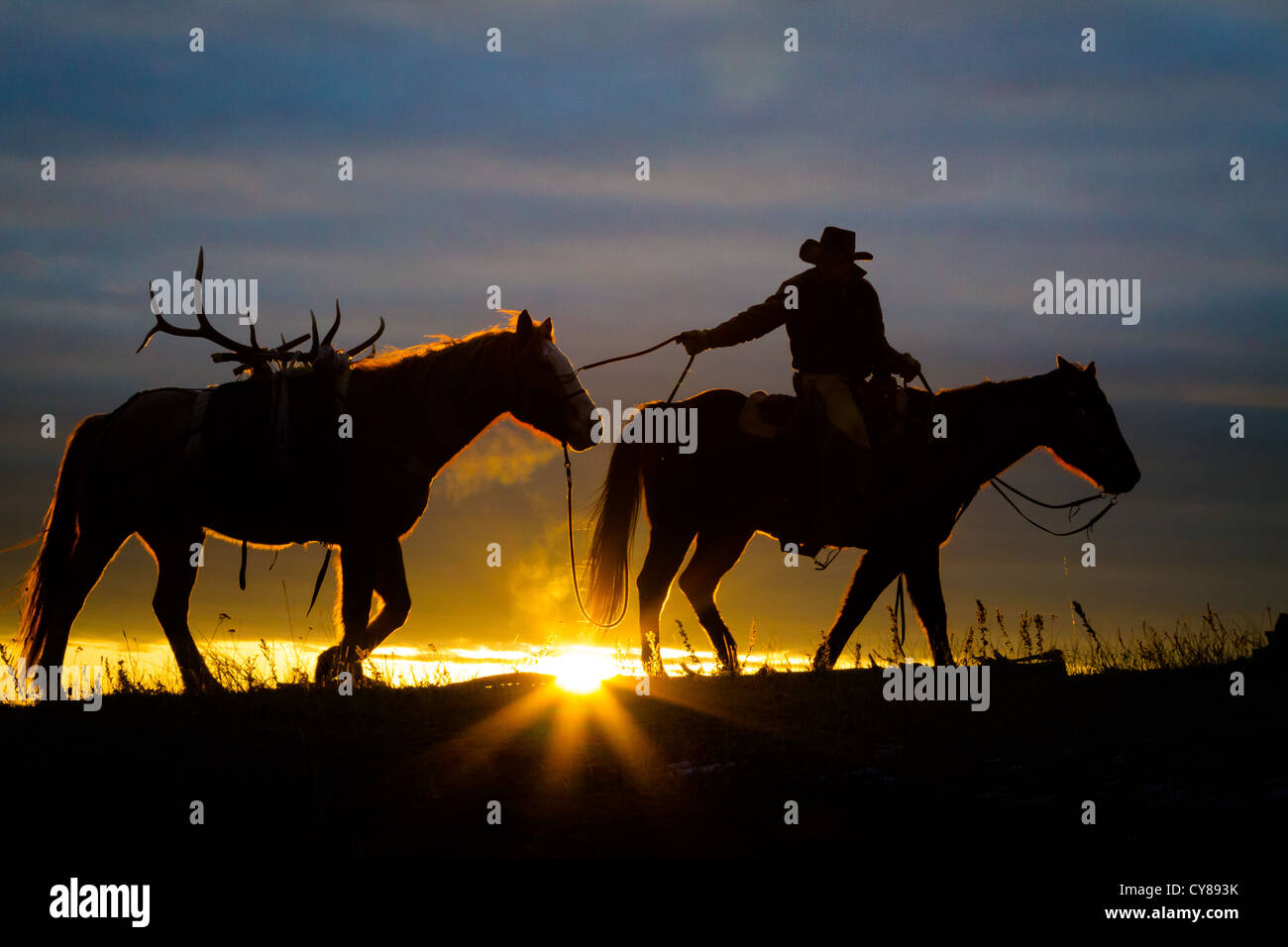 Cowboy And Horse Silhouette High Resolution Stock Photography and ...