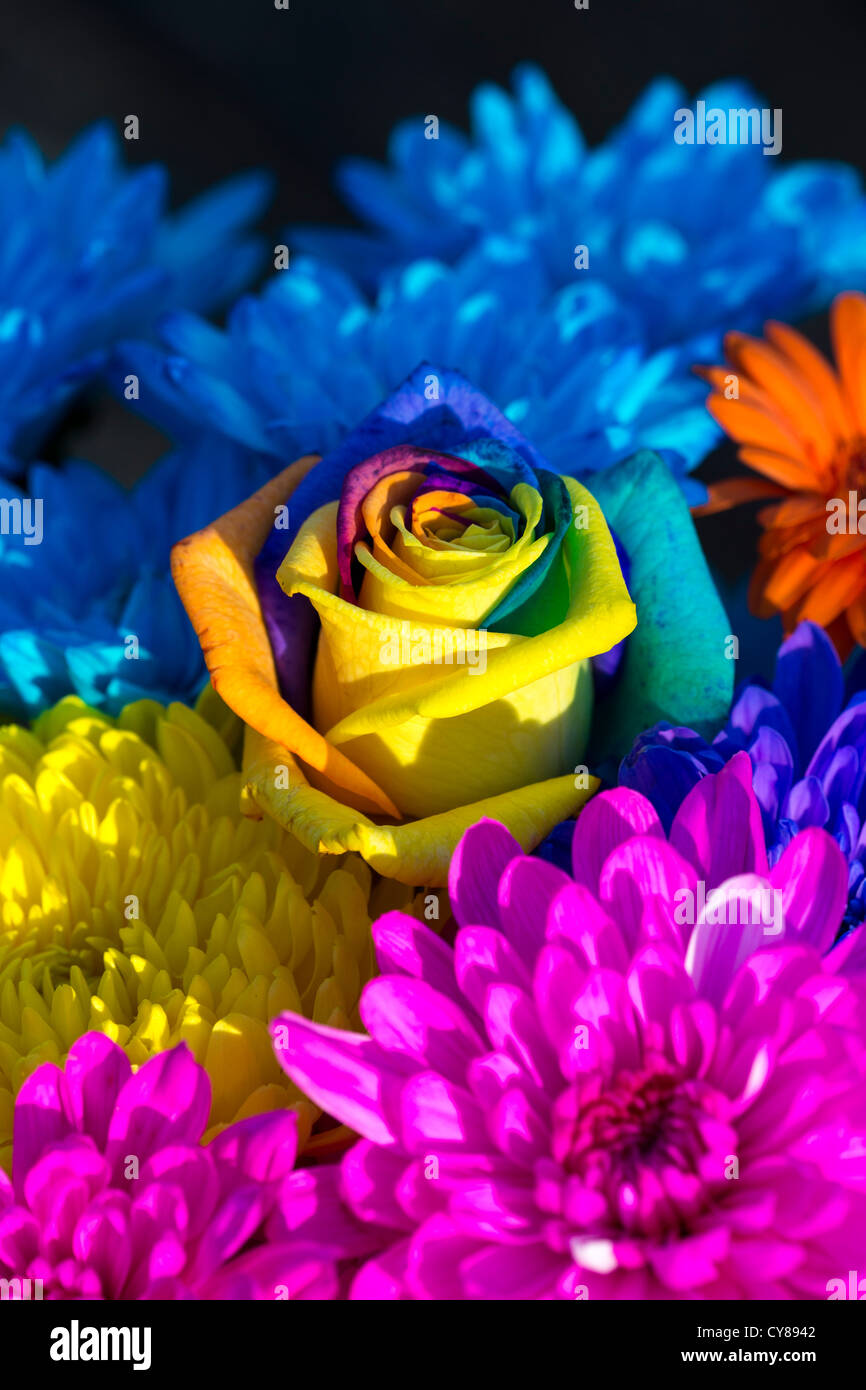 Brightly coloured flowers hi-res stock photography and images - Alamy