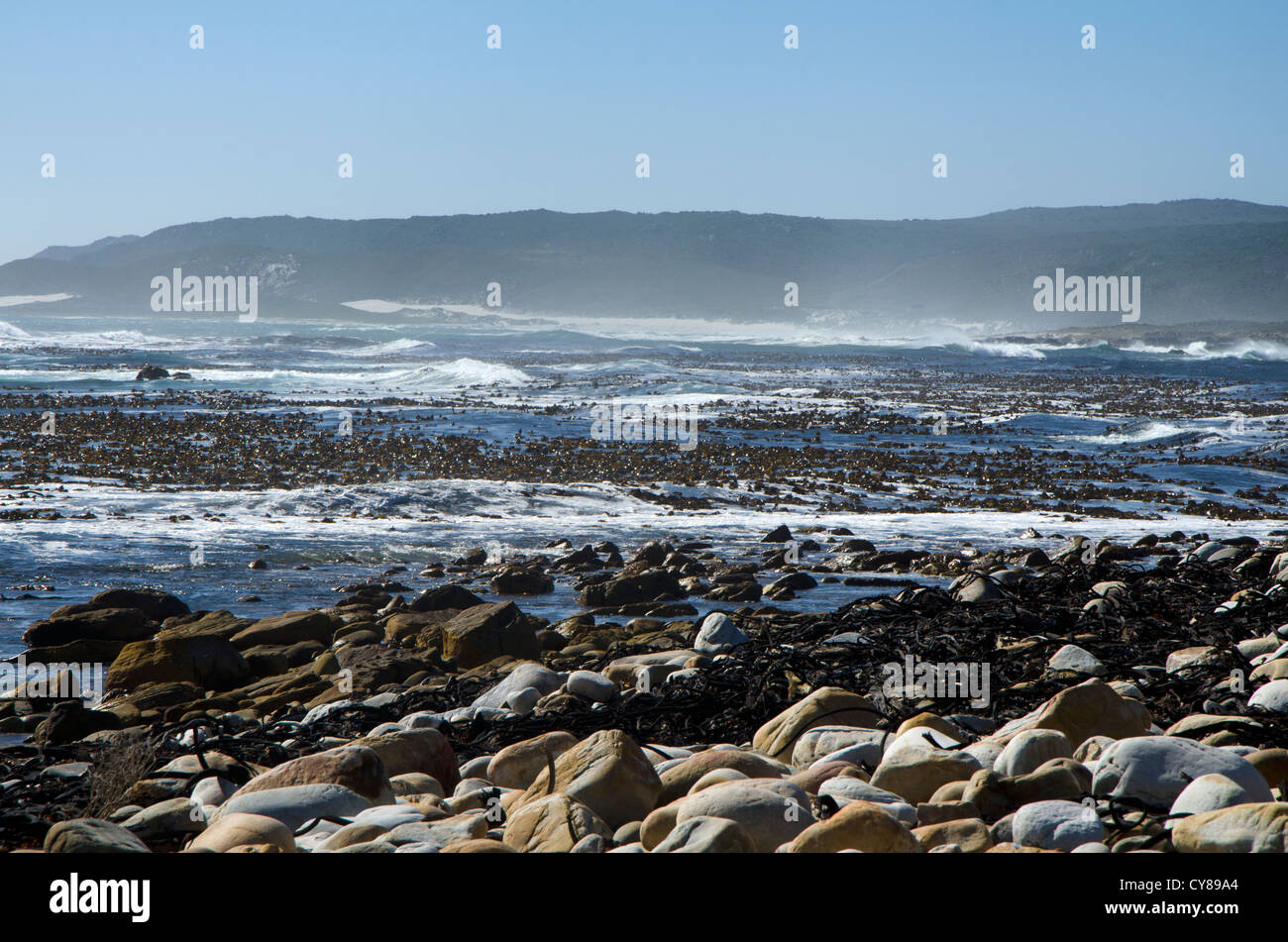 Western Cape seascape part of Table Mountain National Park, Cape town ...