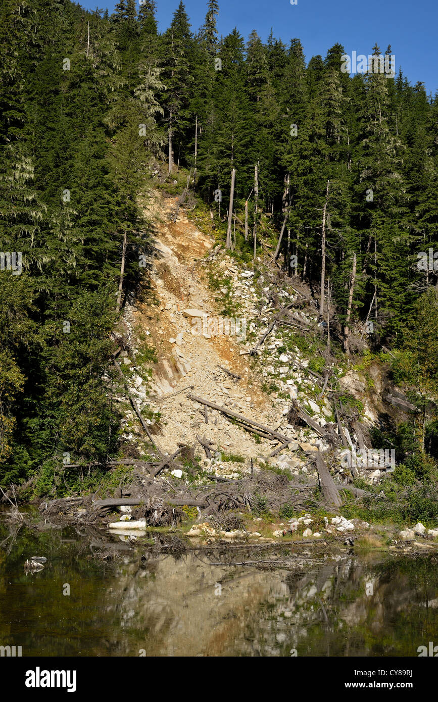 The path of an avalanche Stock Photo - Alamy