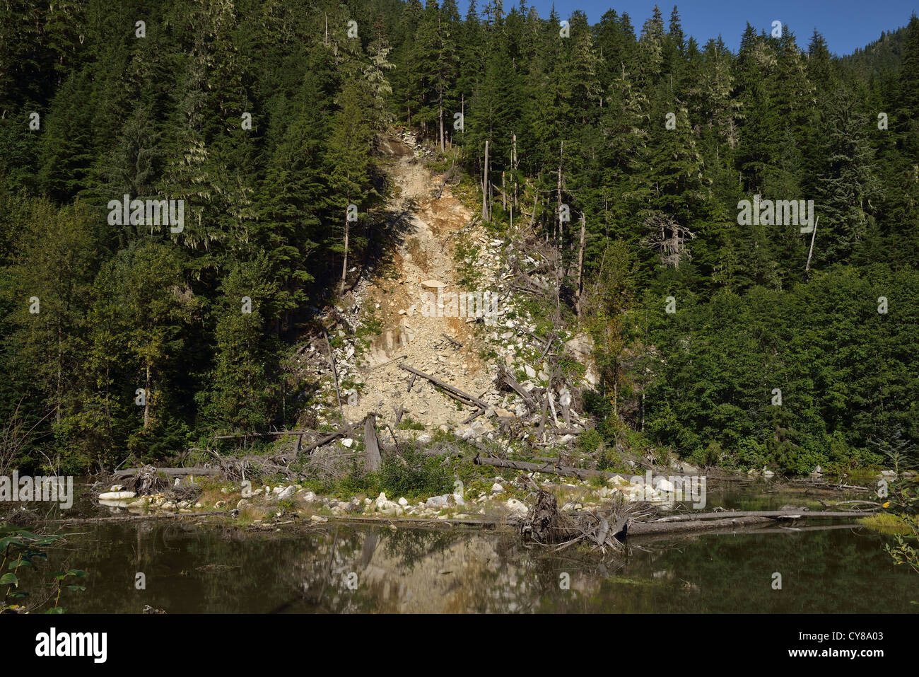 The path of an avalanche Stock Photo - Alamy
