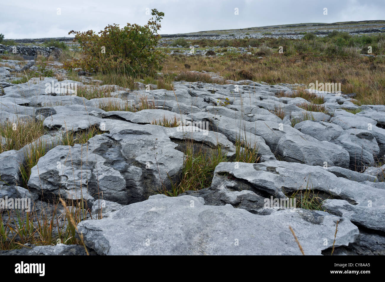 Clare rock hi-res stock photography and images - Alamy