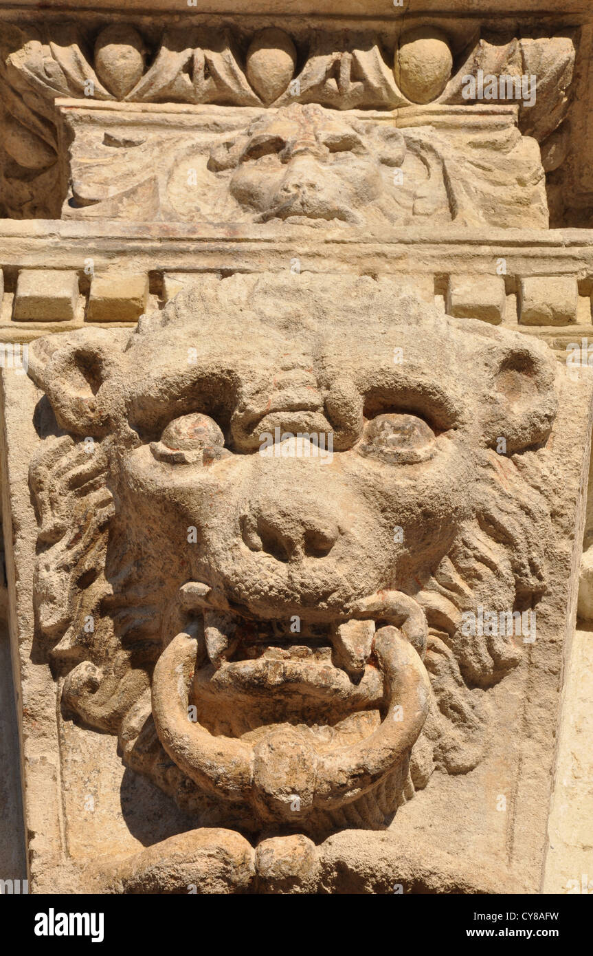 Decorative element lion head hi-res stock photography and images - Alamy