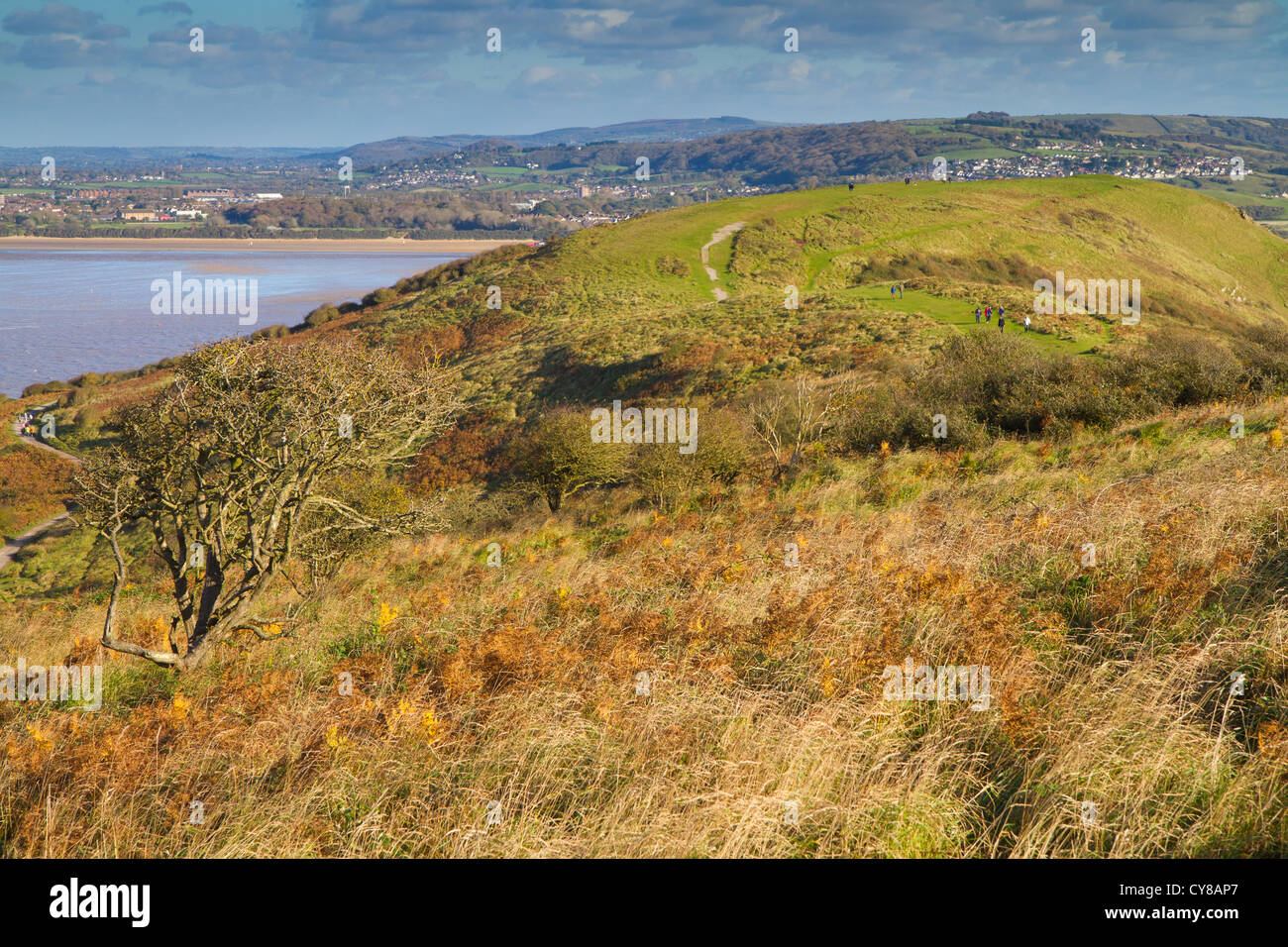 Brean Down Somerset in autumn Stock Photo - Alamy