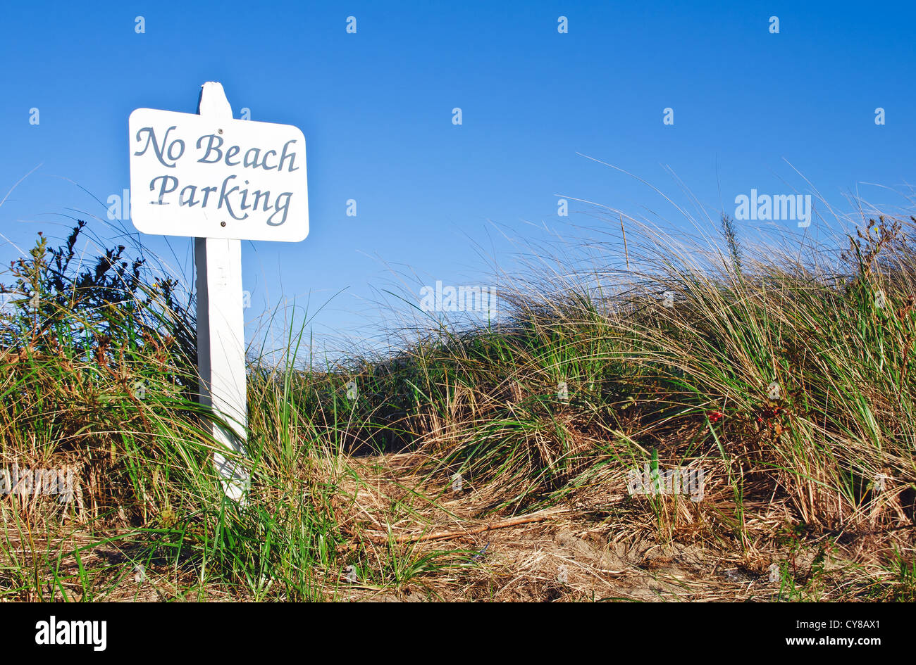 No beach parking sign Stock Photo - Alamy