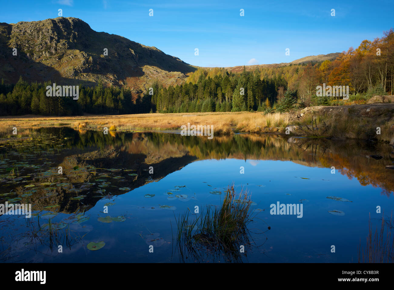 Autumn morning Harrop Tarn Lake District Cumbria Stock Photo - Alamy