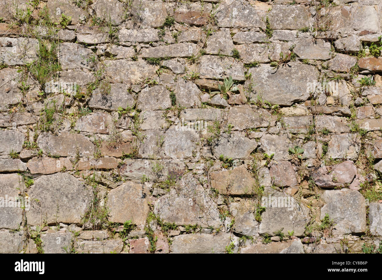 Stone background, wall in the garden Stock Photo - Alamy