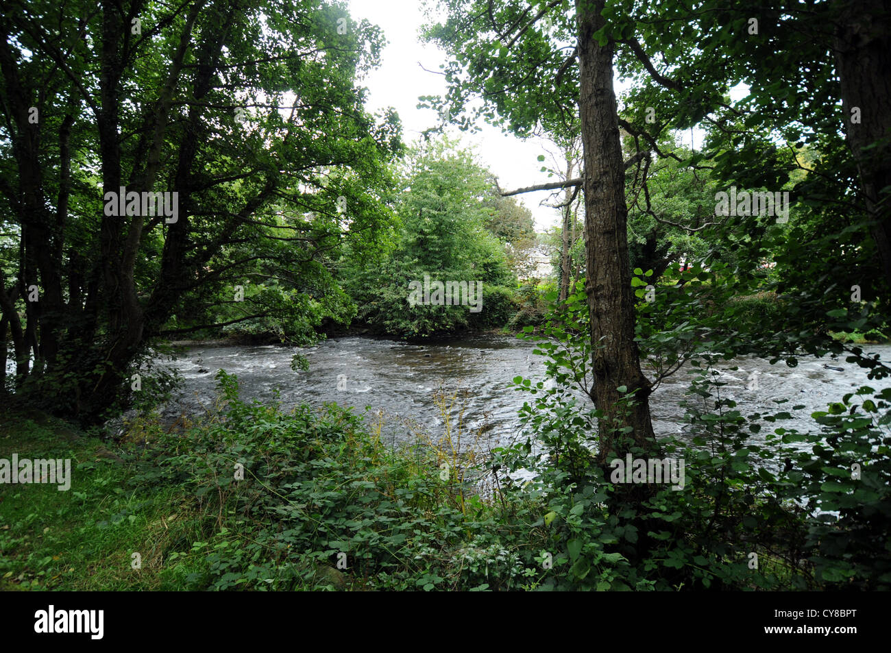 Aeron river hi-res stock photography and images - Alamy