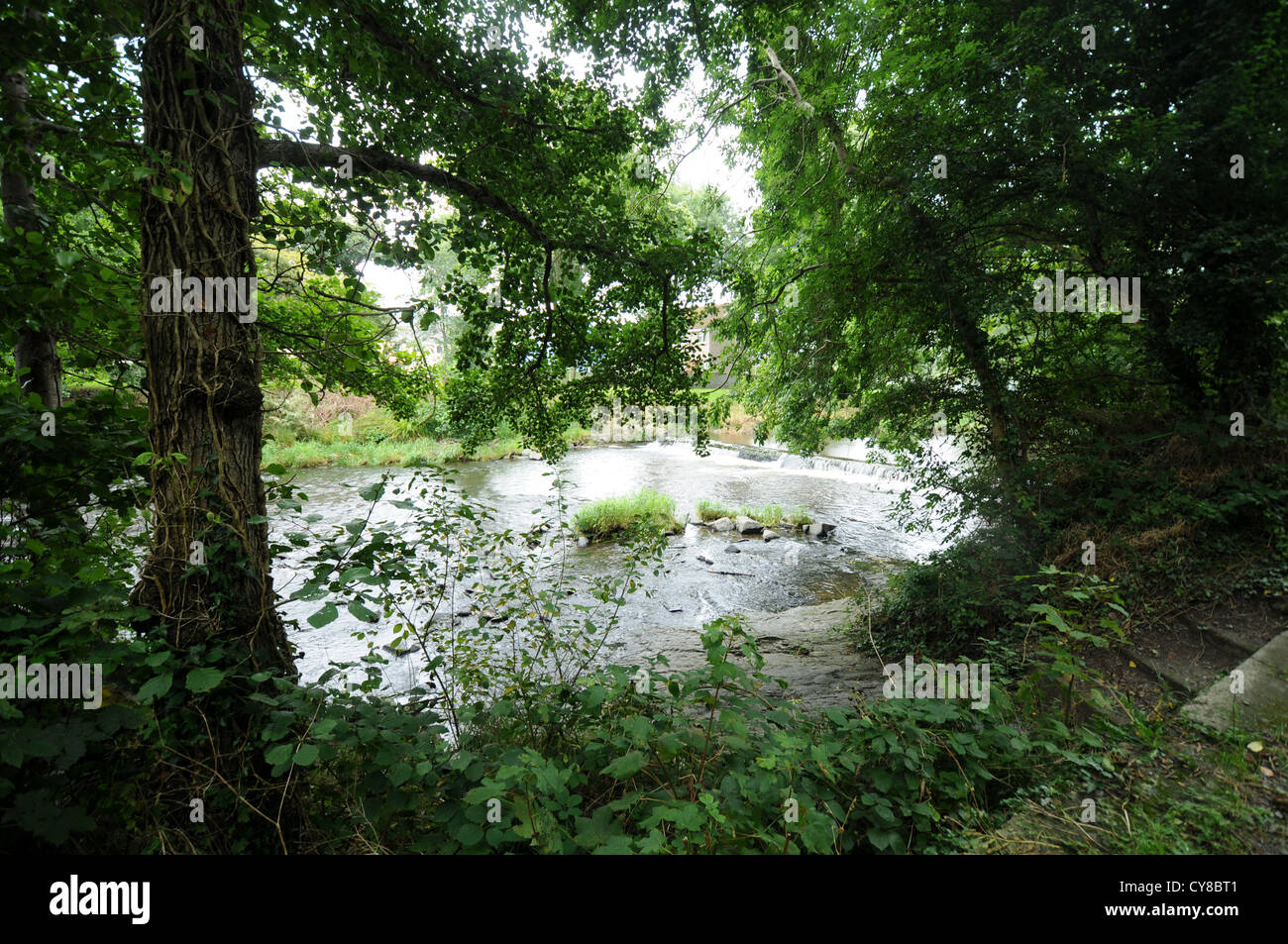River Aeron, Aberaeron, Ceredigion, Wales, UK Stock Photo - Alamy