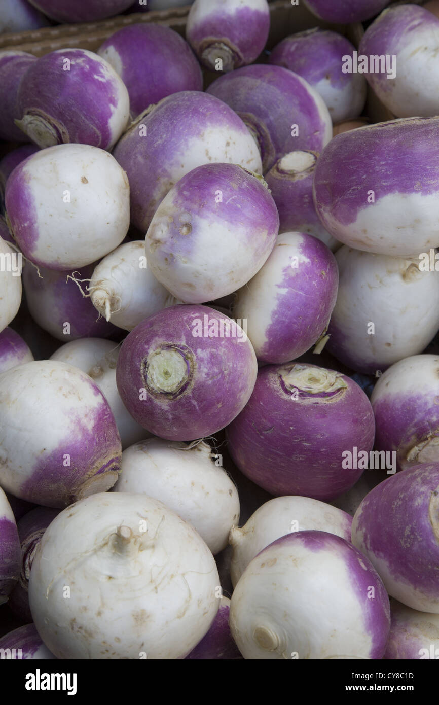 Turnips hi-res stock photography and images - Alamy