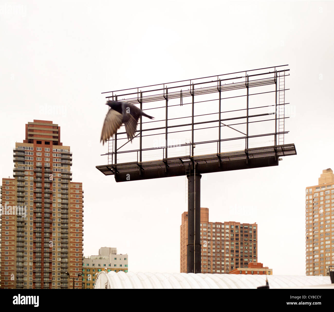 empty billboard sign Stock Photo - Alamy