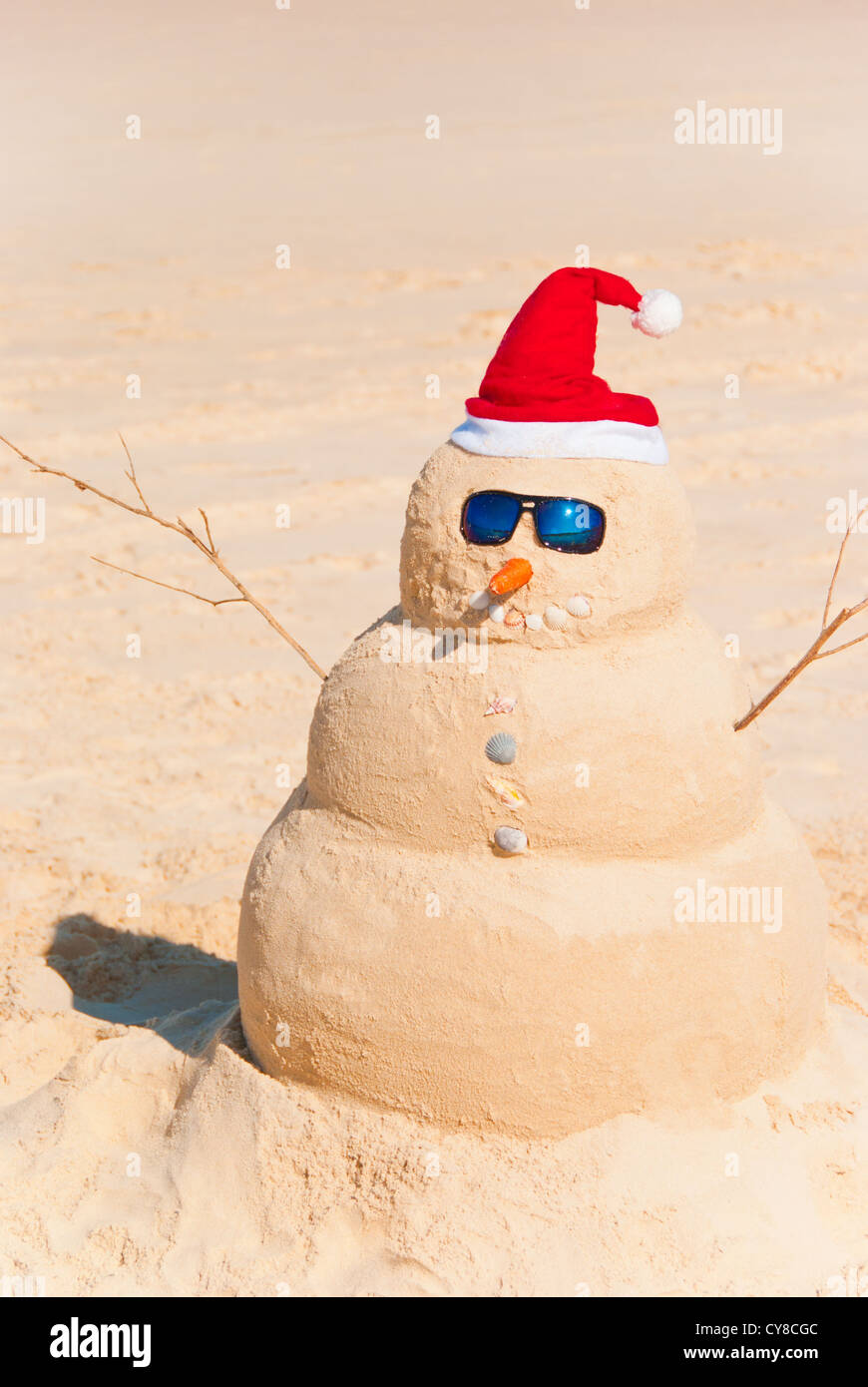 Perfect Sandman With Carrot Nose And Sunnies, perfectly shaped Snowman ...