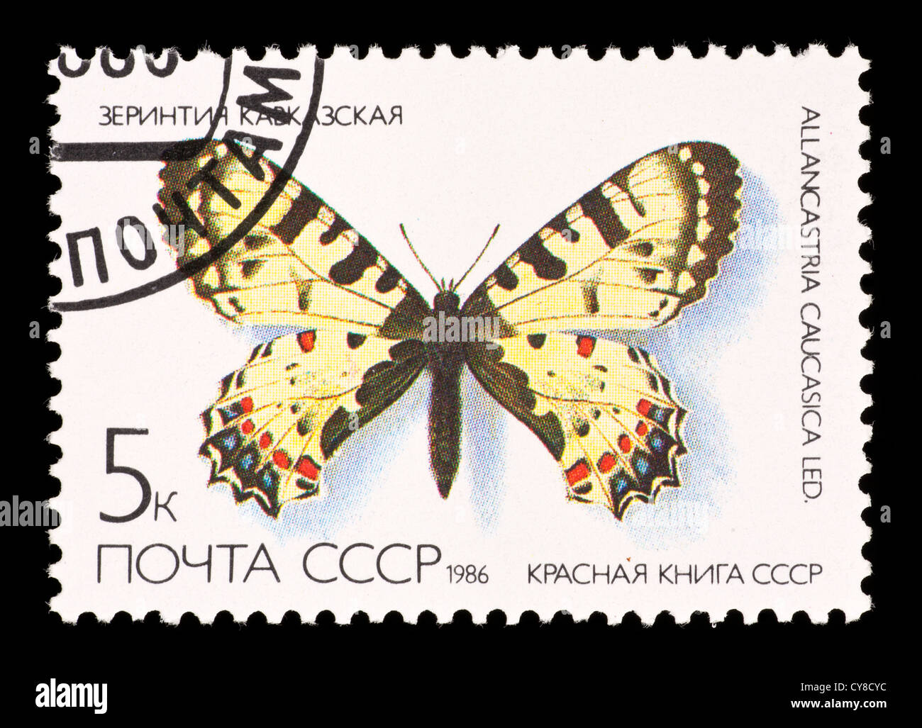 Postage stamp from the Soviet Union (USSR) depicting a swallowtail ...