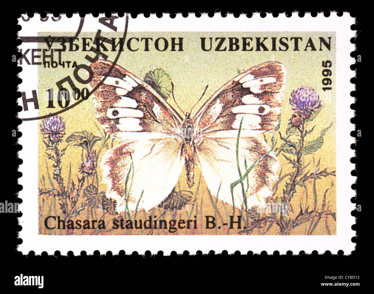 Postage stamp from Uzbekistan depicting a butterfly (Chasara staudinger ...
