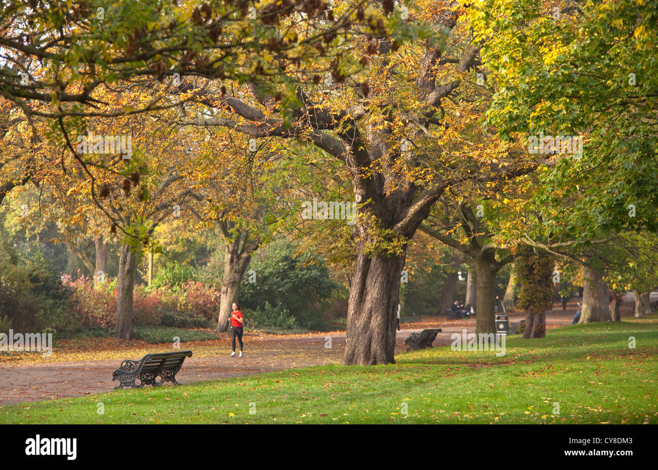 Regents park autumn hi-res stock photography and images - Alamy