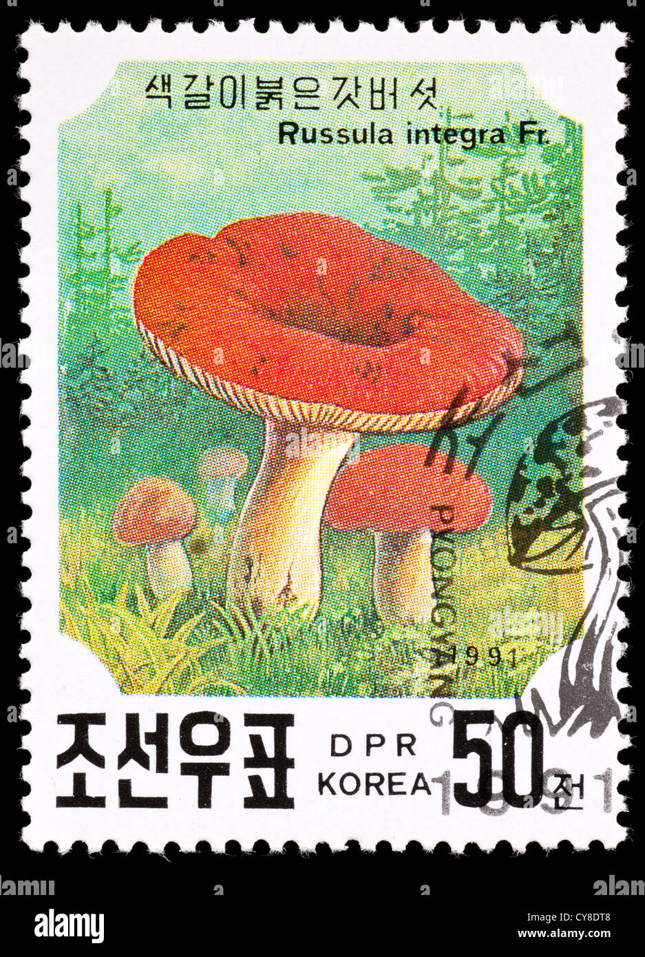 Postage stamp from North Korea depicting Entire Russula mushrooms ...