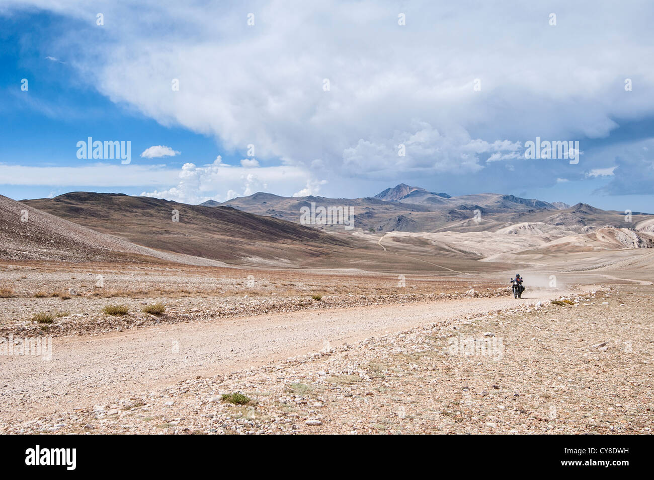 View of the White Mountains from the Inyo National Forest Stock Photo ...