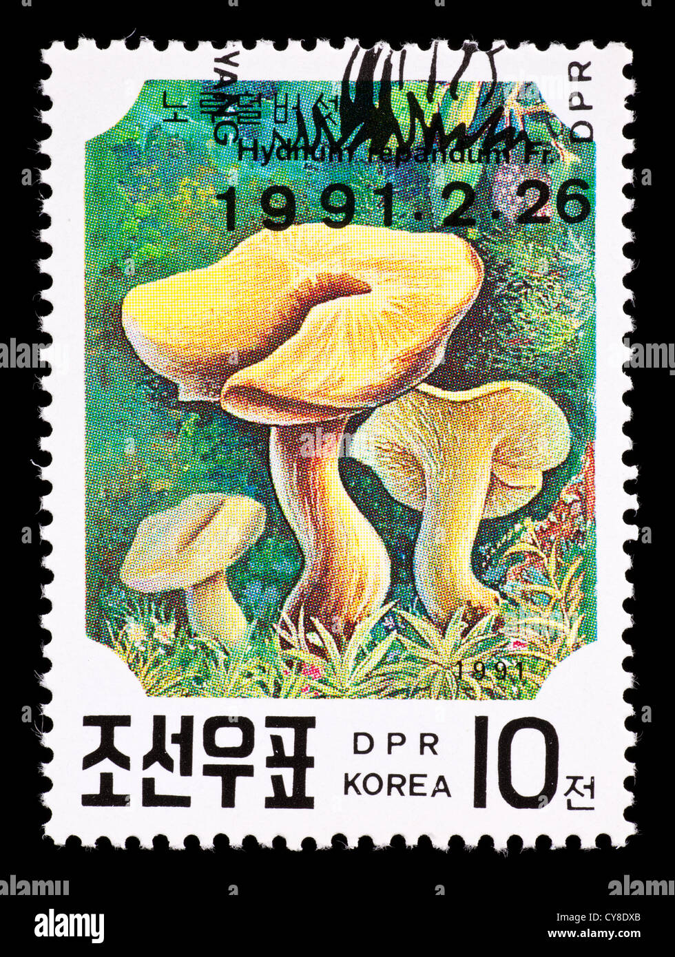 Postage stamp from North Korea depicting Wood Hedgehog mushrooms ...