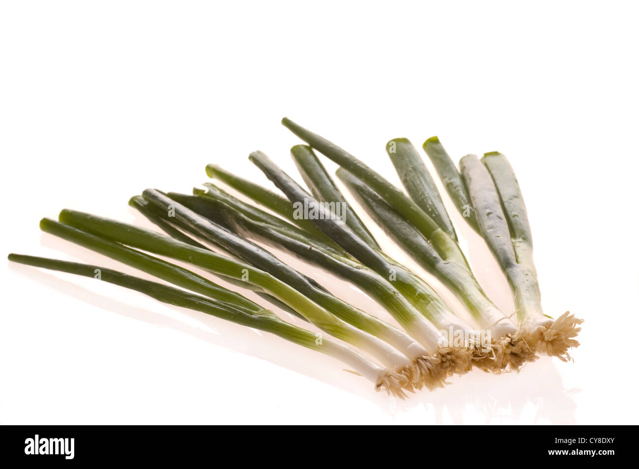 Bunch of raw fresh spring onions photographed on a white background ...