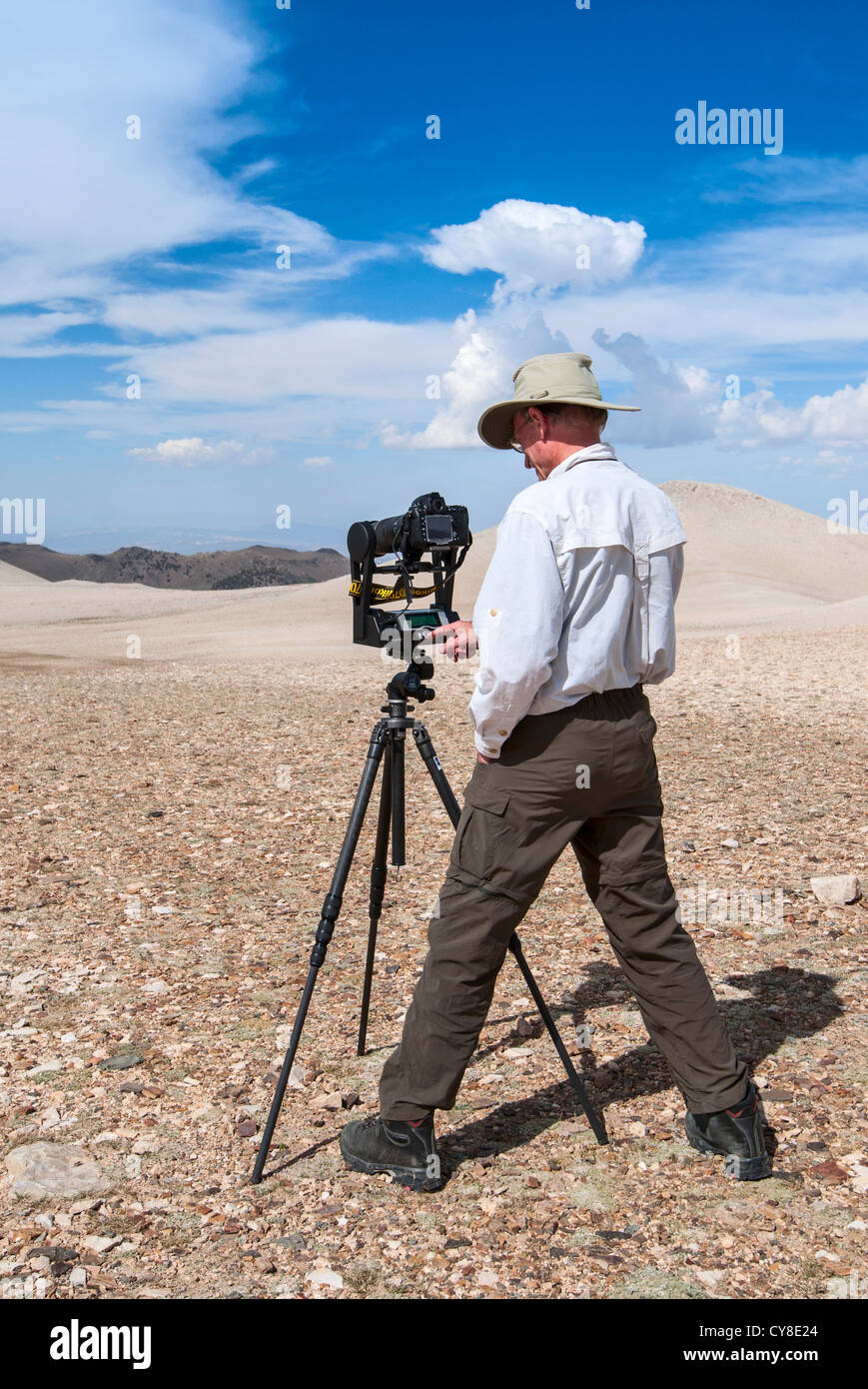 View of the White Mountains from the Inyo National Forest Stock Photo ...