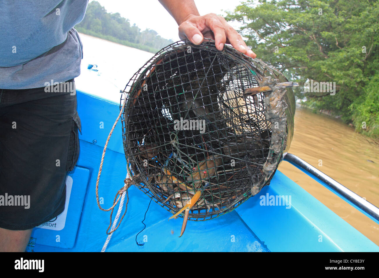 Crayfish in trap hi-res stock photography and images - Alamy