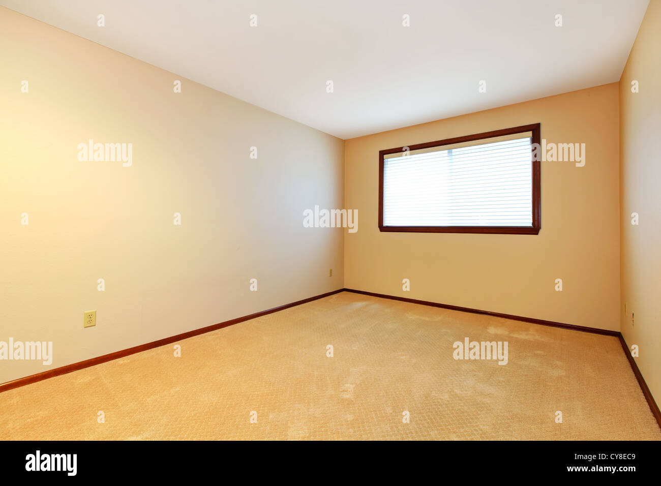 Empty Room With Window And Carpet