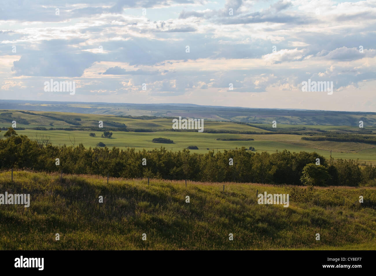 Farmland near the Battle River Valley, Saskatchewan Stock Photo - Alamy