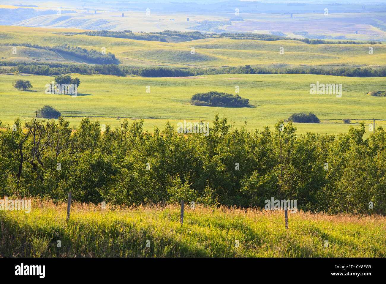 Battle of green river hi-res stock photography and images - Alamy