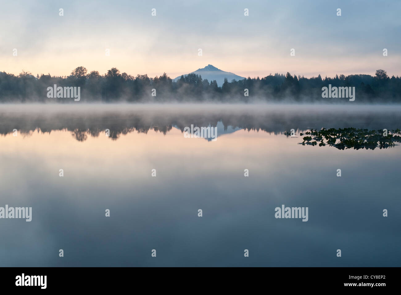 Mount pilchuck hi-res stock photography and images - Alamy