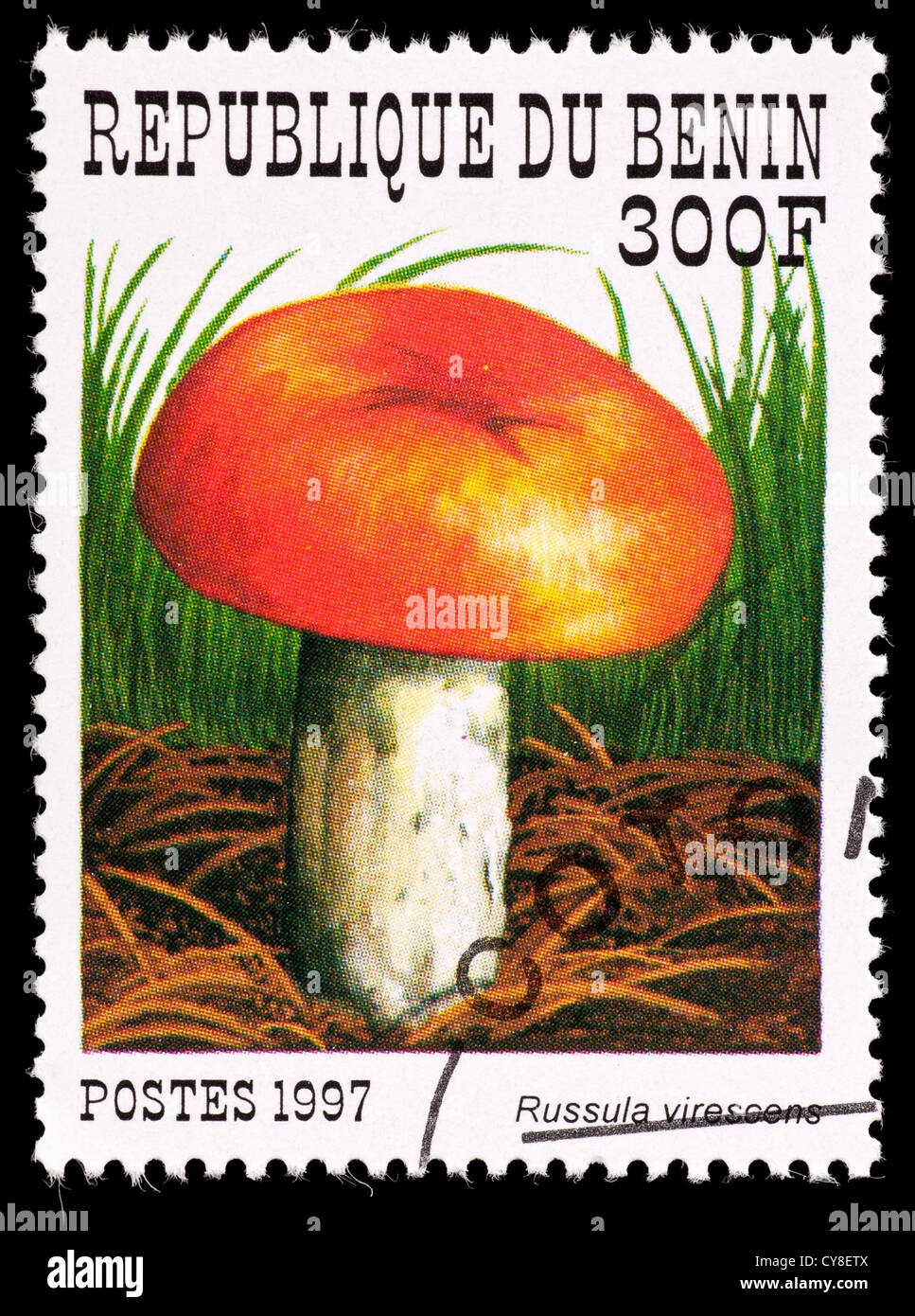 Postage stamp from Benin depicting a green-cracking Russula (Russula ...