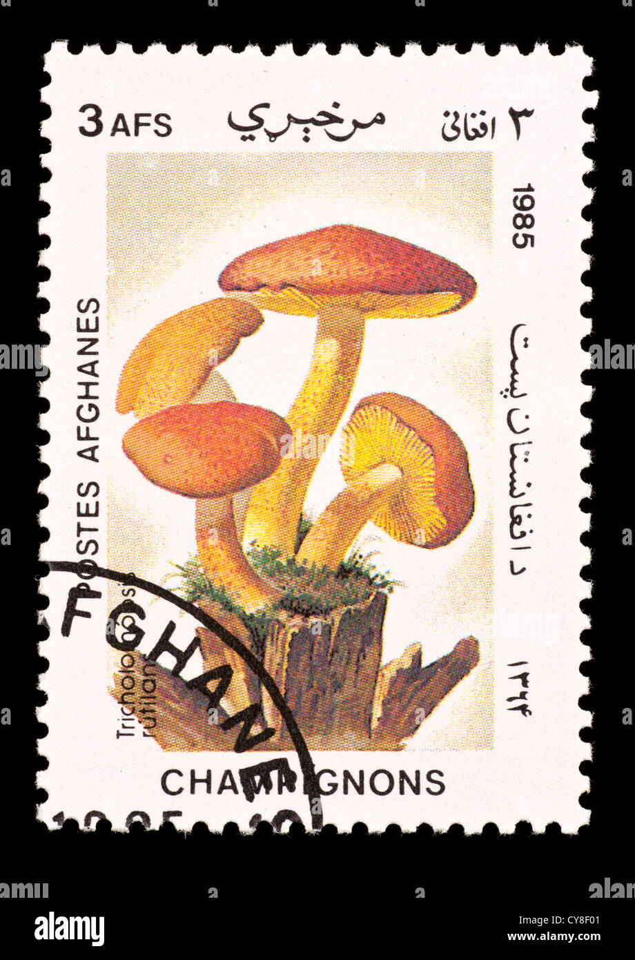 Postage stamp from Afghanistan depicting mushrooms Stock Photo - Alamy