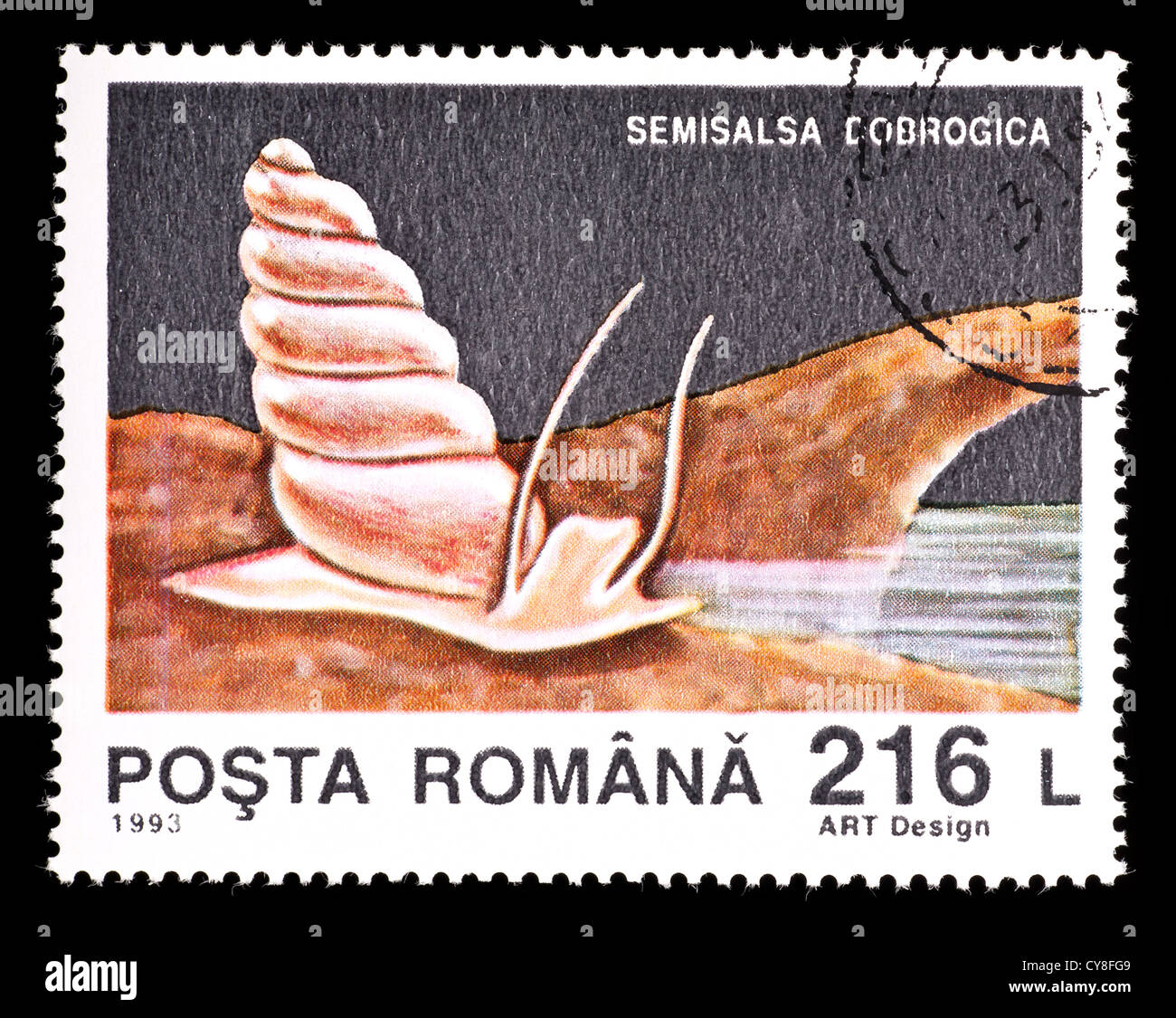 Postage stamp from Romania depicting a snail (Semisalsa dobrogica Stock ...