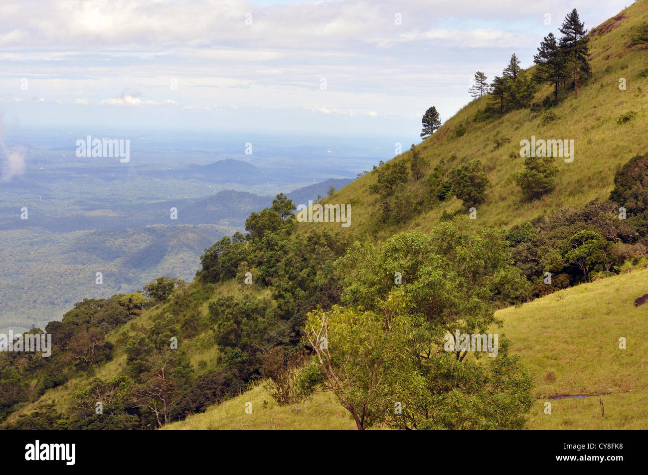 The Ponmudi Hills Stock Photo - Alamy