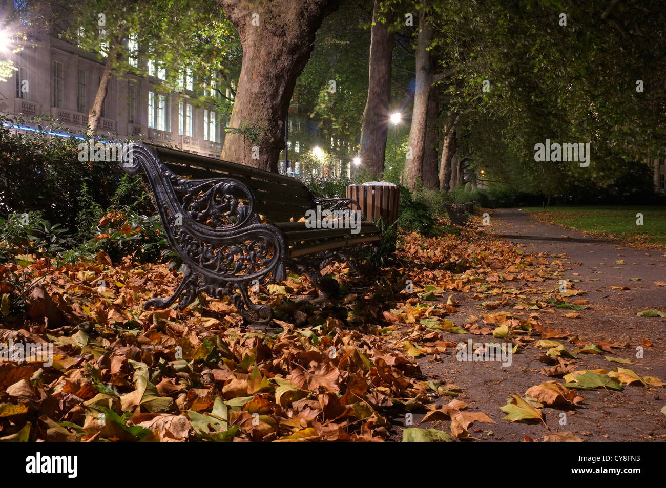 Autumn Leaves accumulate around a Park Bench at night Stock Photo - Alamy