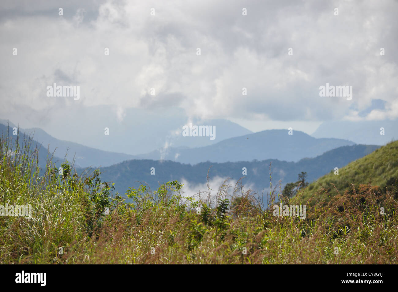 Western ghats thiruvananthapuram hi-res stock photography and images ...