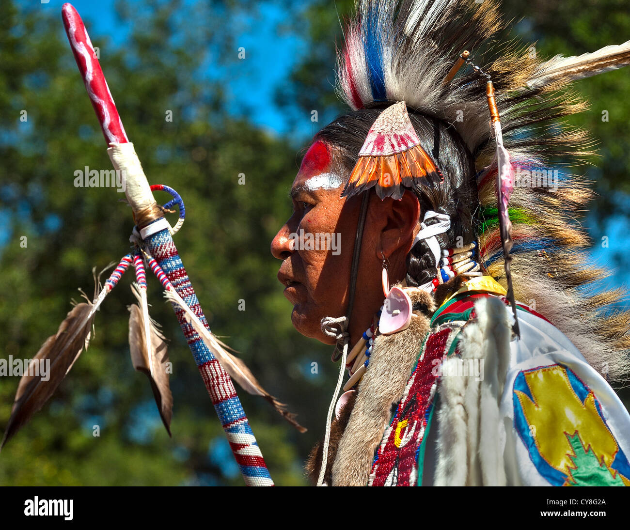 Native american in traditional regalia hi-res stock photography and ...