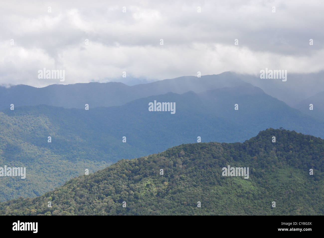 Western ghats thiruvananthapuram hi-res stock photography and images ...
