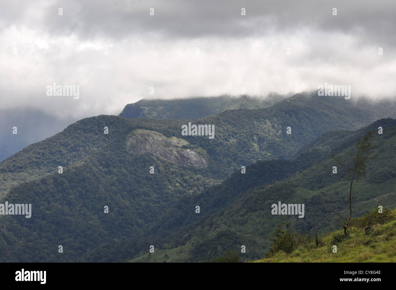 The beautiful Ponmudi Hills at Thiruvananthapuram Stock Photo - Alamy