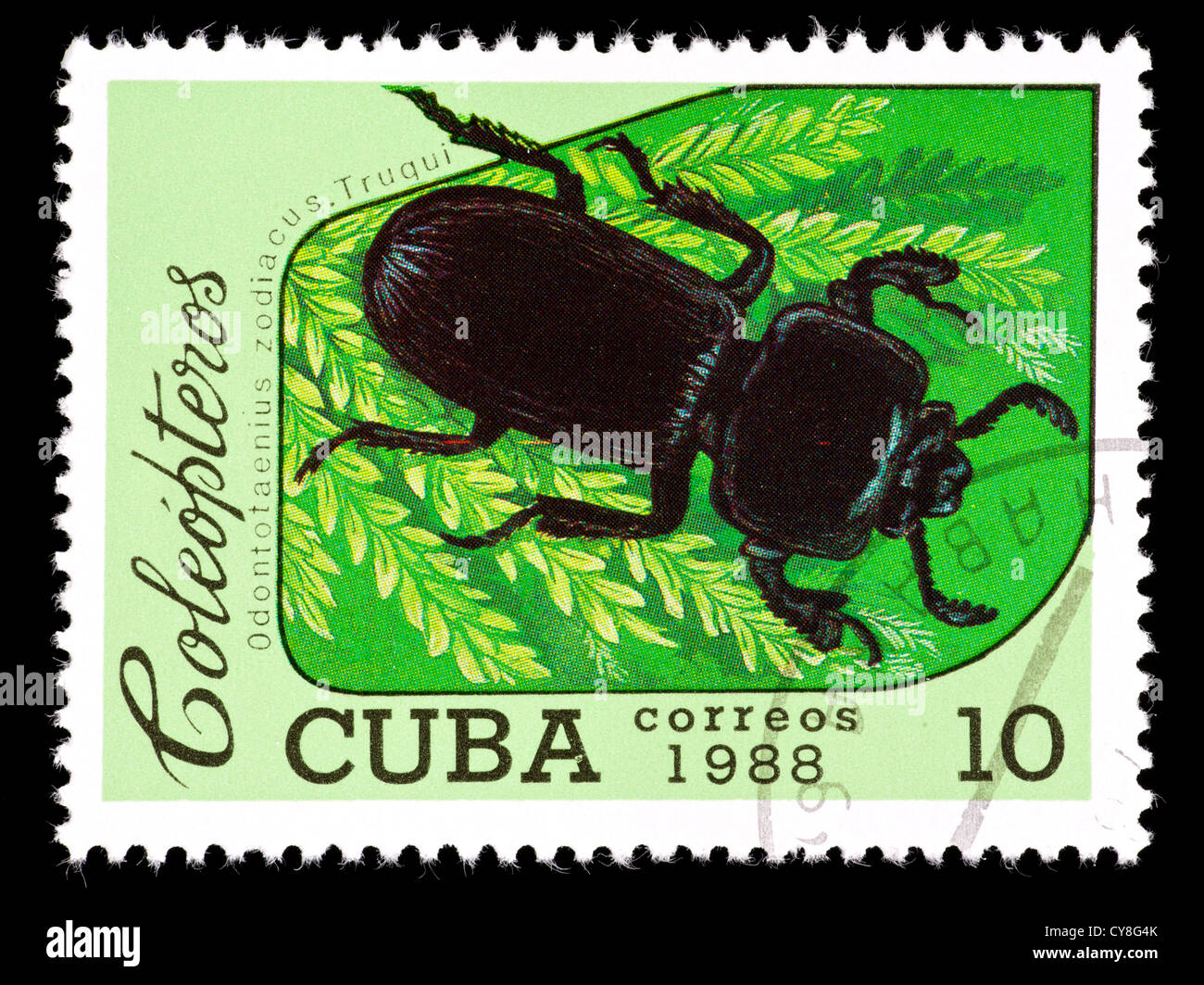 Postage stamp from Cuba depicting depicting a tropical beetle ...