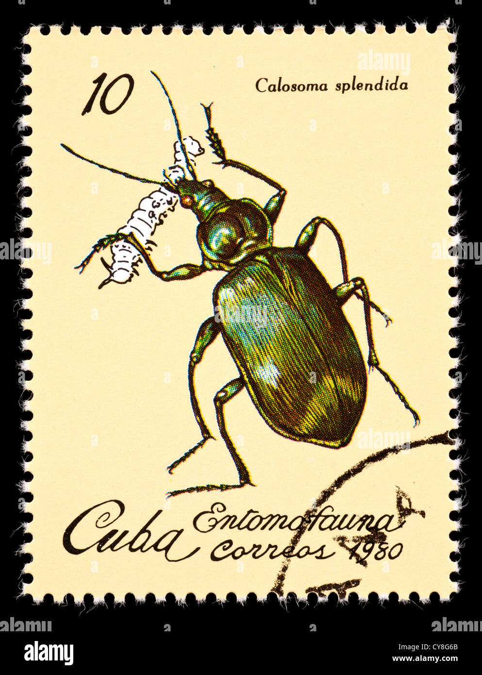 Postage stamp from Cuba depicting a tropical beetle (Calosoma splendida ...