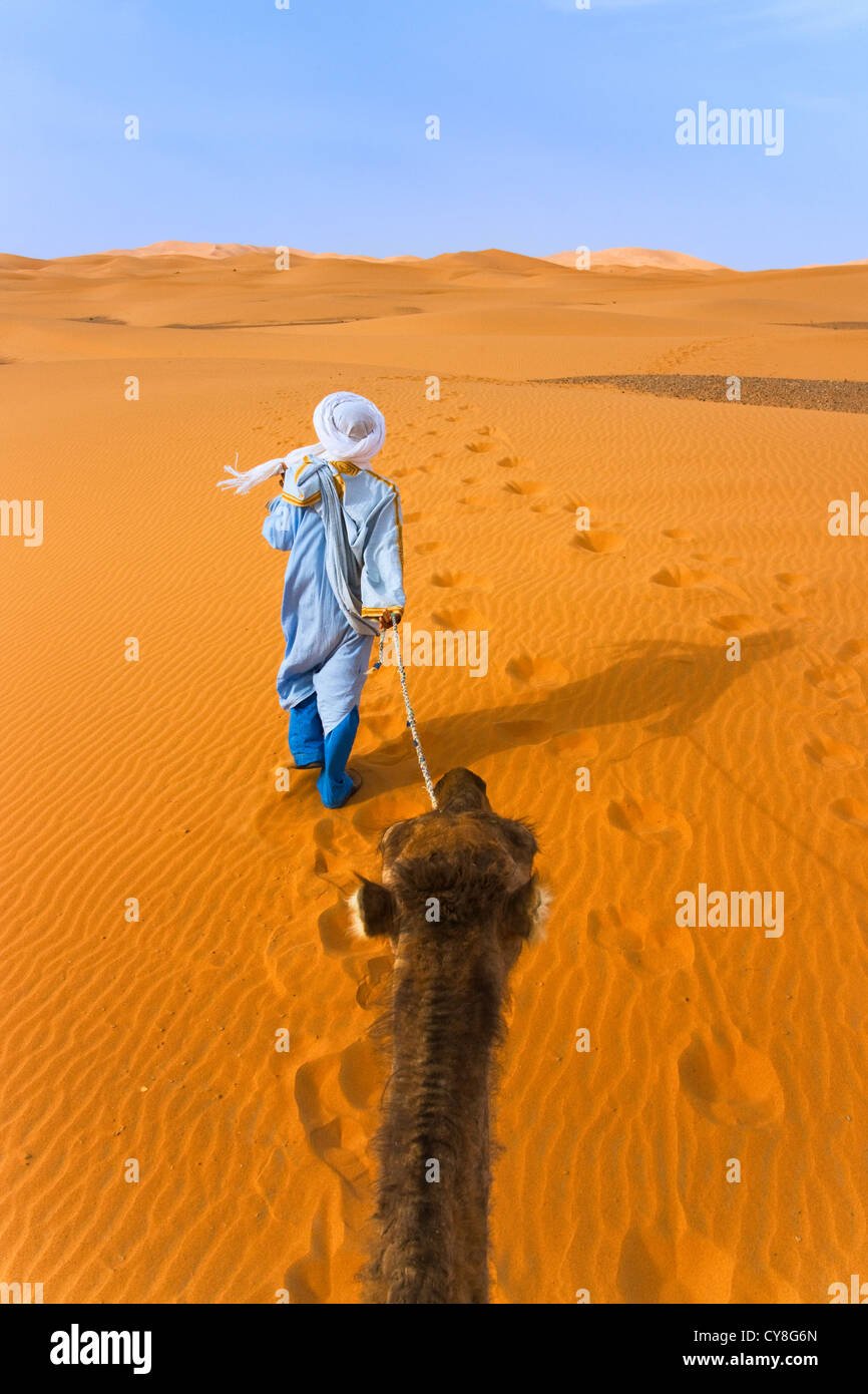 Nomad with camel in Sahara Desert, Erg Chebbi, Morocco Stock Photo - Alamy