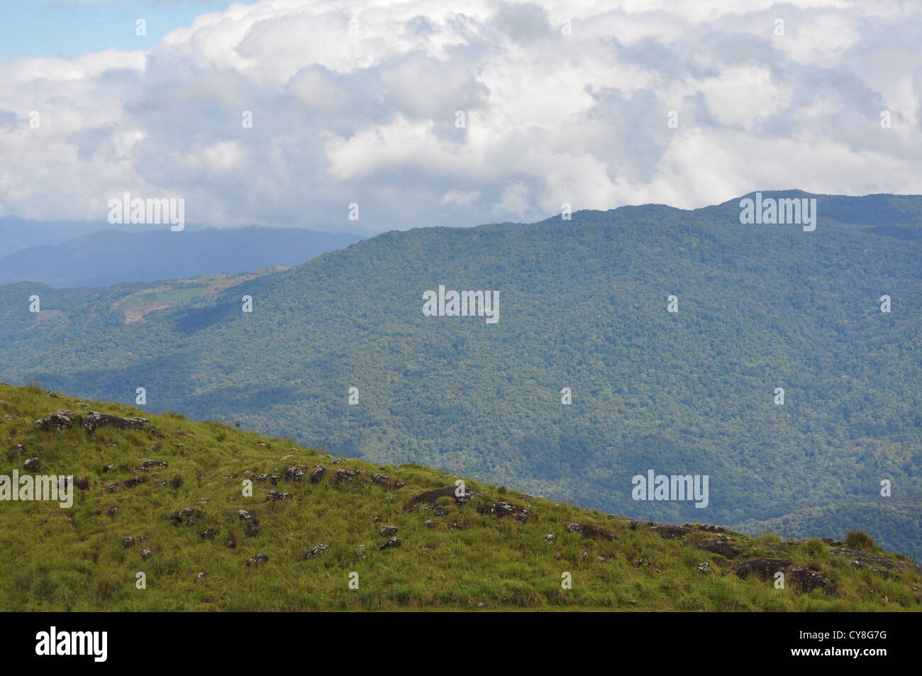 Western ghats thiruvananthapuram hi-res stock photography and images ...