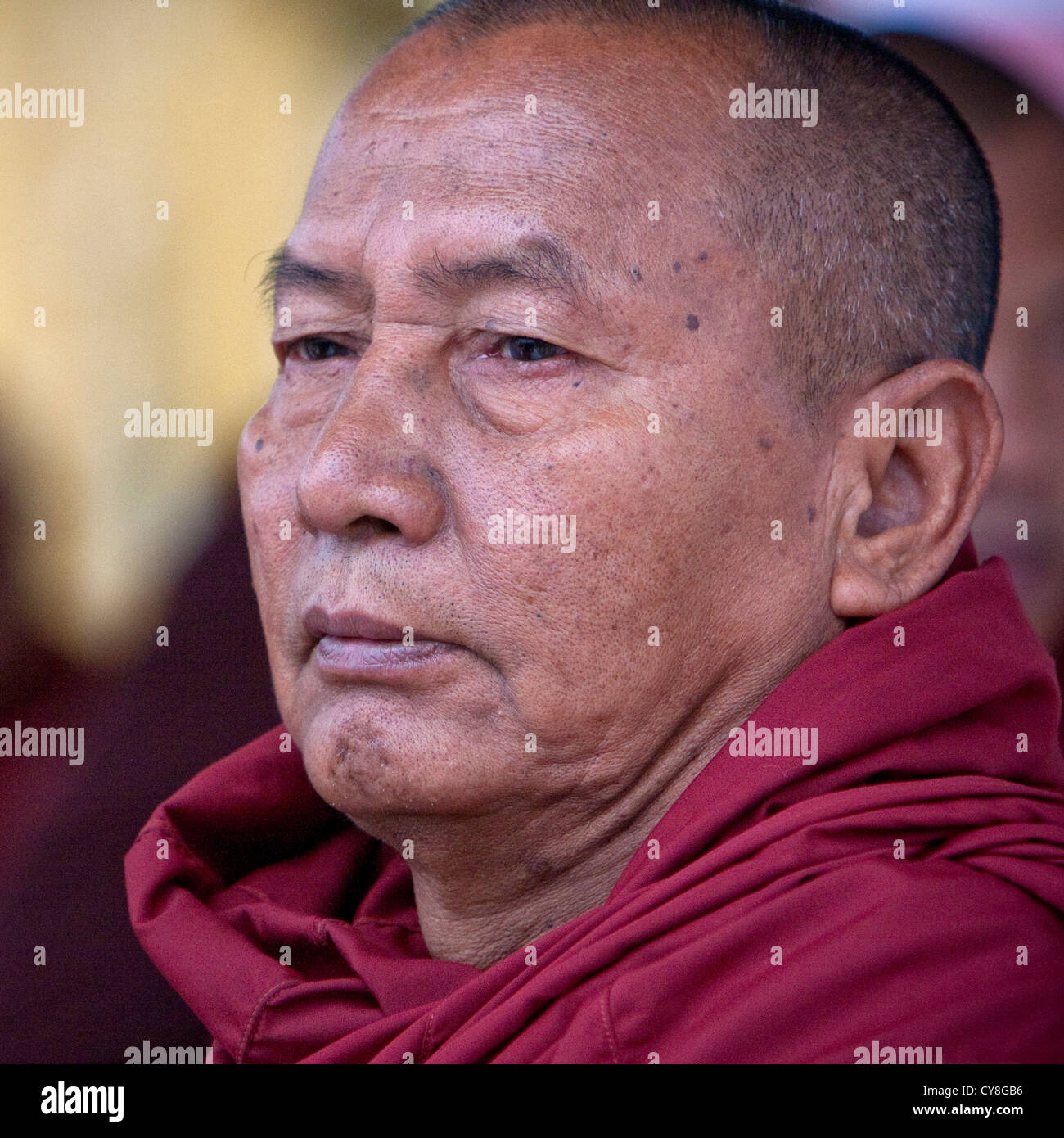 Myanmar, Burma. Burmese Buddhist Monk, Alodaw Pauk Pagoda, Nampan ...