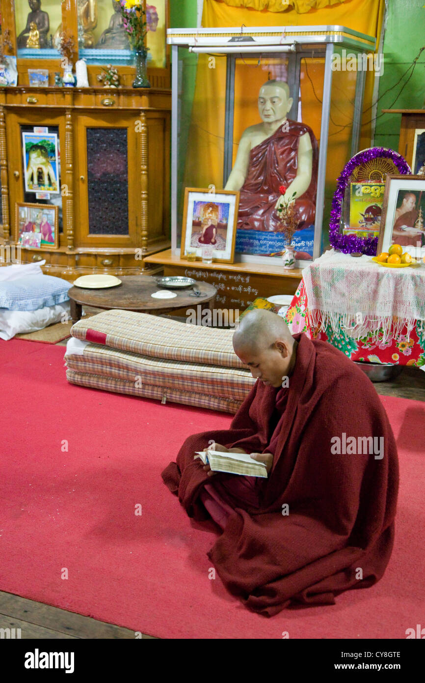 Myanmar, Burma. Buddhist Monk Reading, Alodaw Pauk Pagoda, Nampan ...