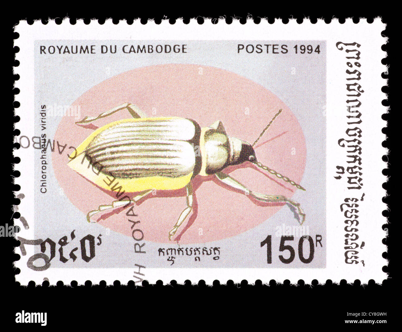Postage stamp from Cambodia depicting a weevil (Chlorophanus viridis ...