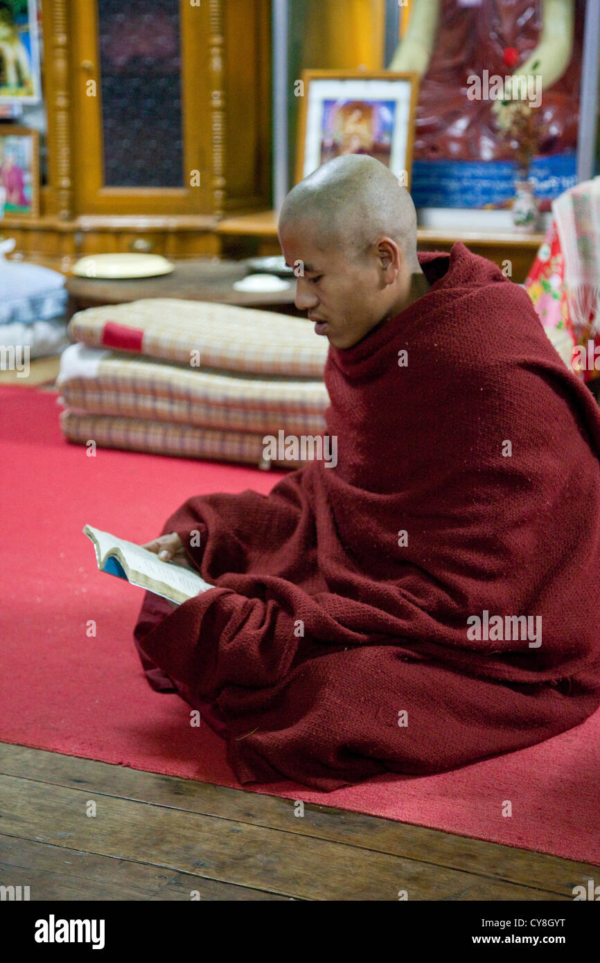 Myanmar, Burma. Buddhist Monk Reading, Alodaw Pauk Pagoda, Nampan ...