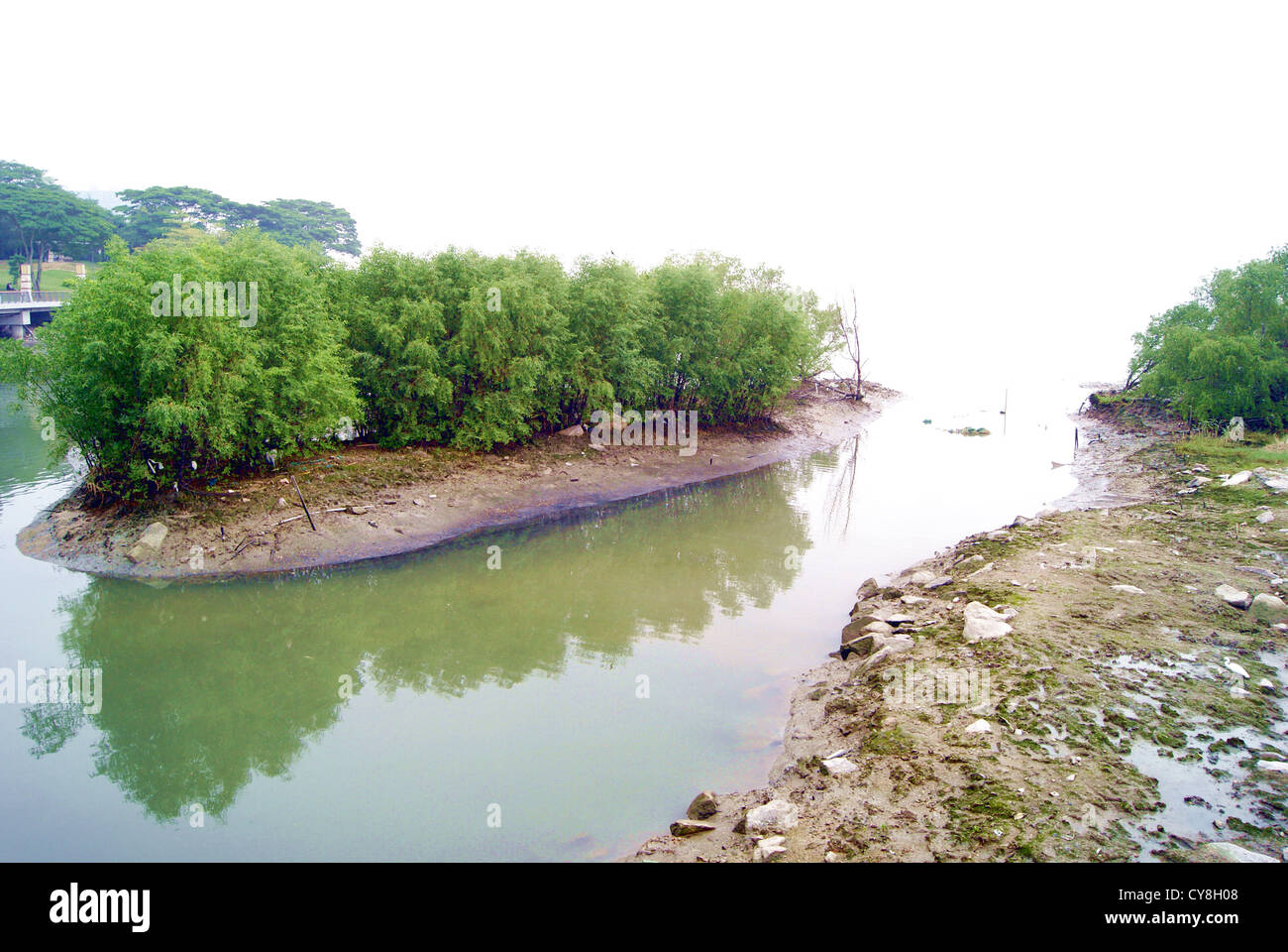 Wetland, in shenzhen bay, China Stock Photo - Alamy