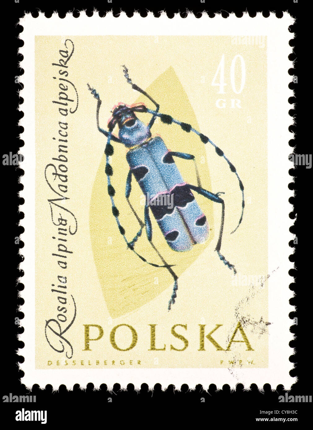 Postage stamp from Poland depicting a long-horned beetle (Rosalia ...