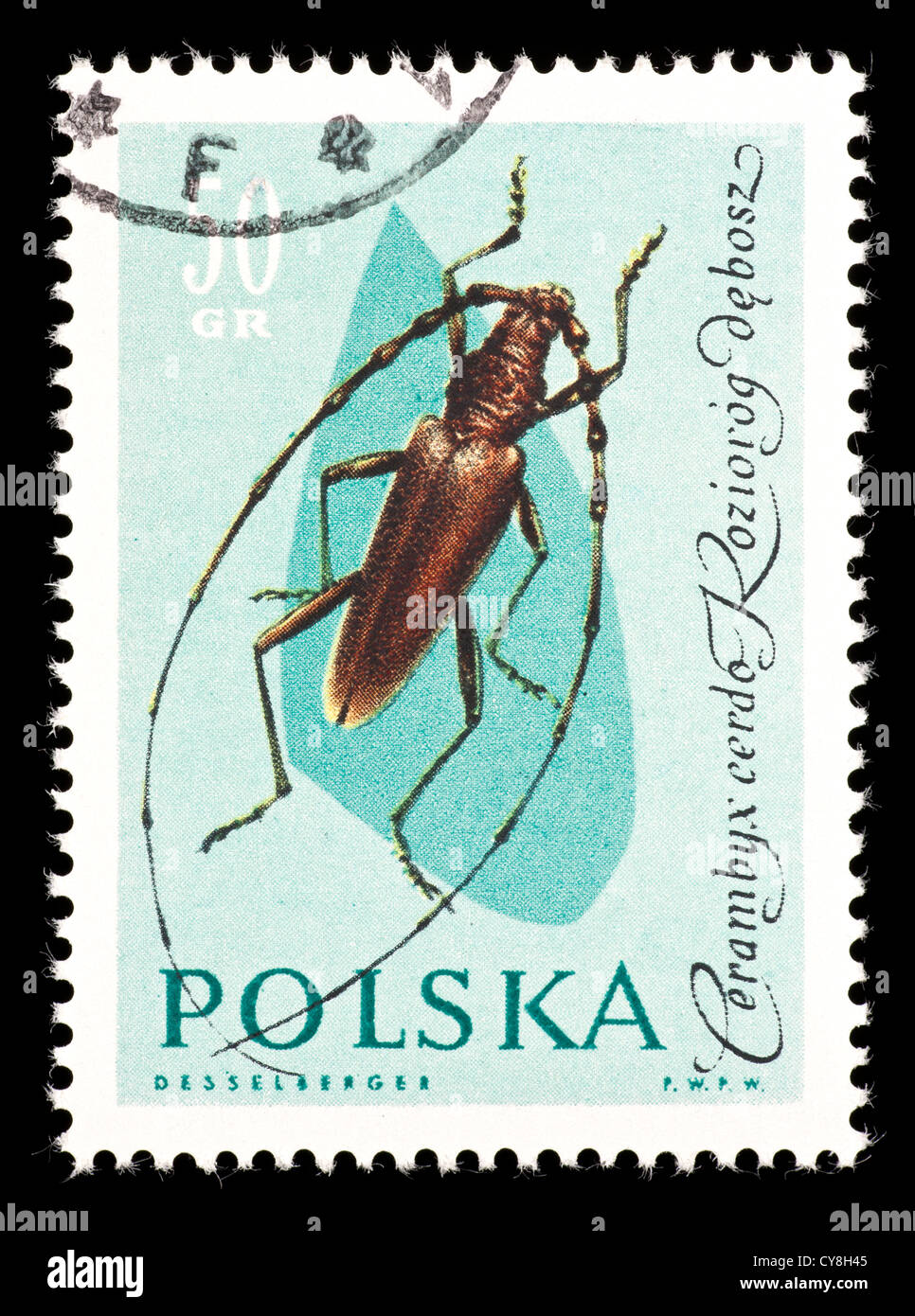 Postage stamp from Poland depicting a Great oak capricorn beetle Stock ...